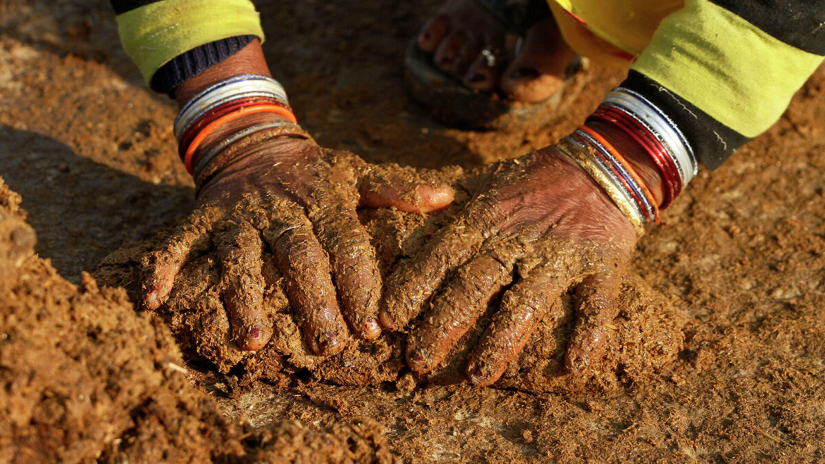 ‘It Cleanses Mind, Body, & Soul’: Video of Doctor Eating Cow Dung in ...
